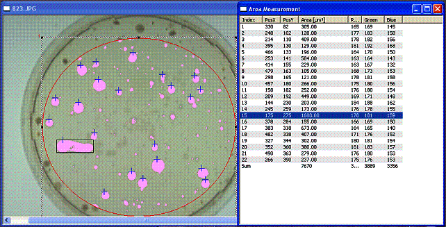 7.2. Counting coherent objects using blob analysis